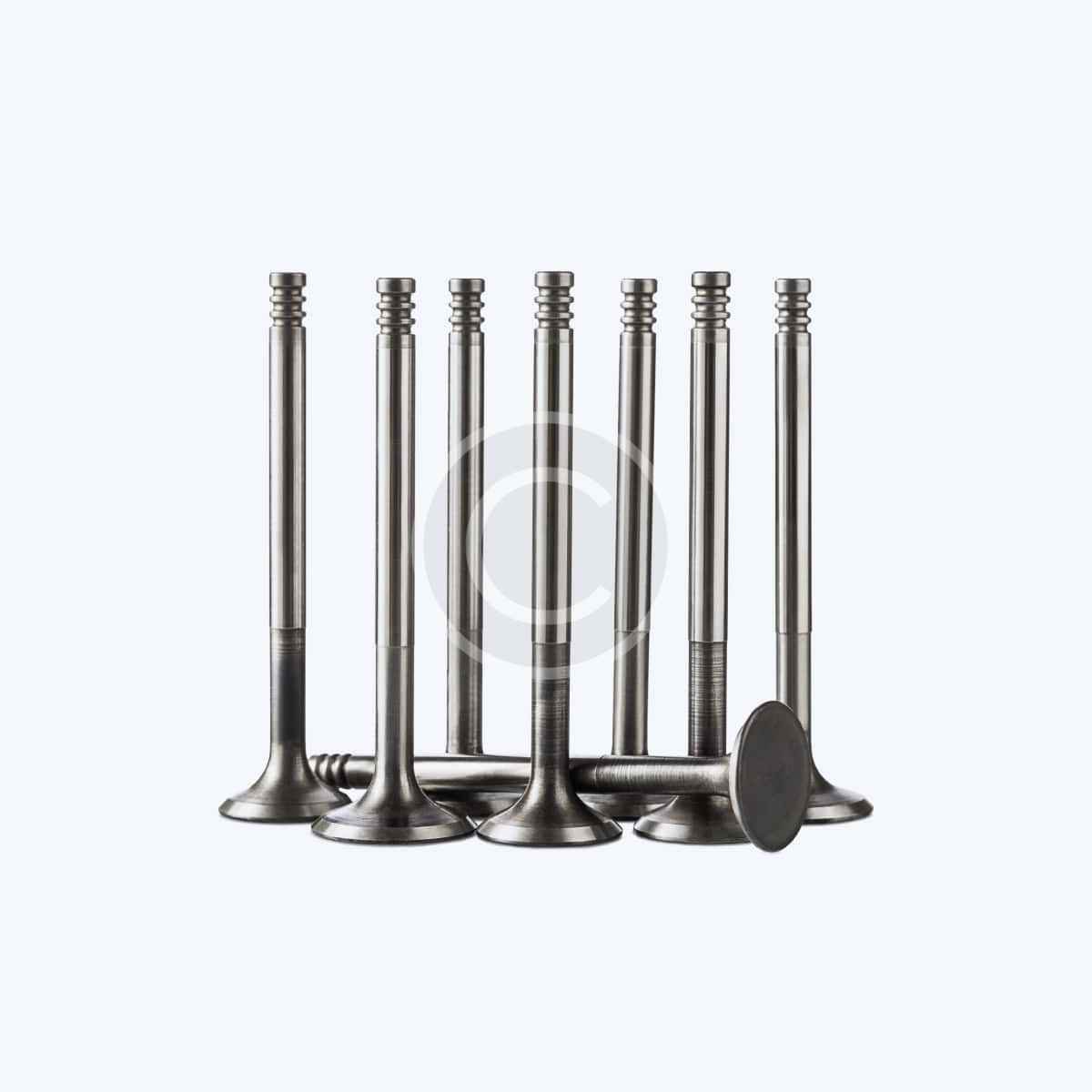 Intake valves – BMS